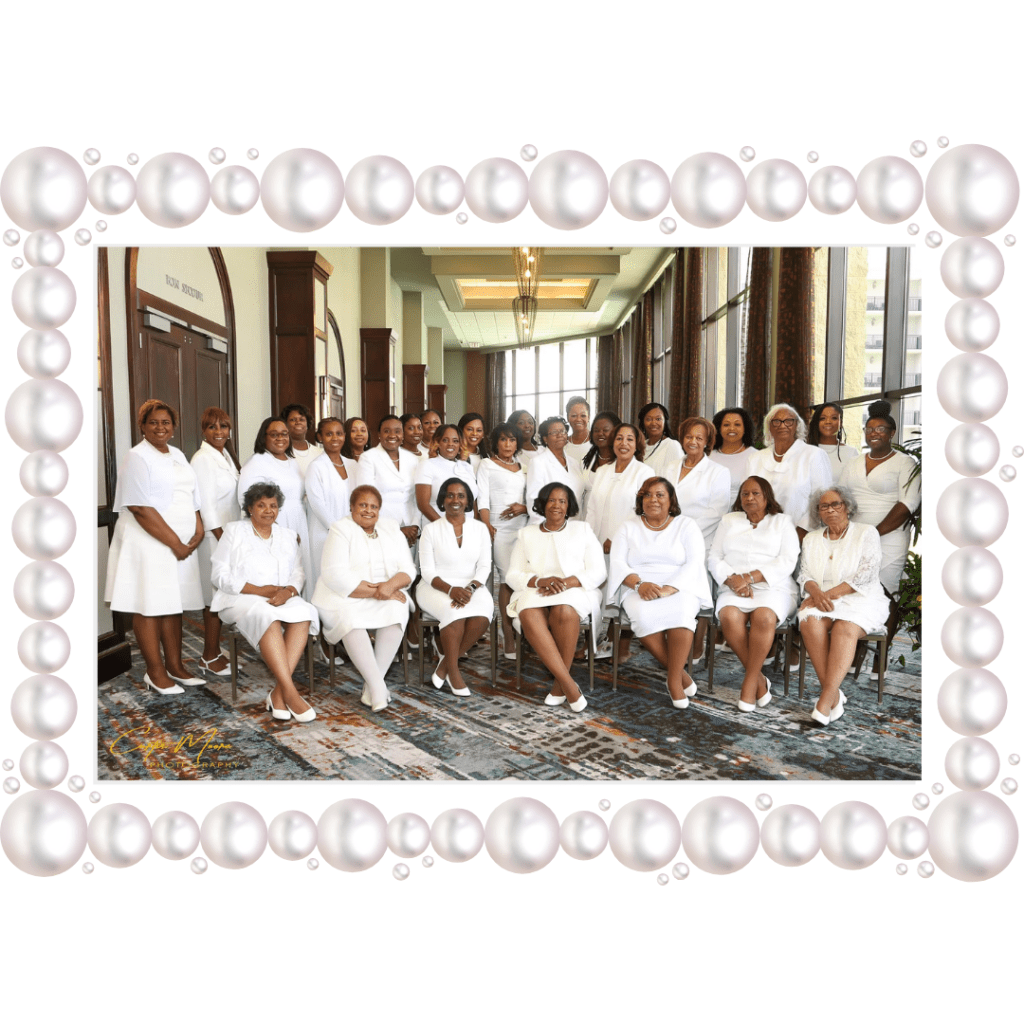 AKA South Eastern Service to All Mankind| Alpha Beta Mu Omega